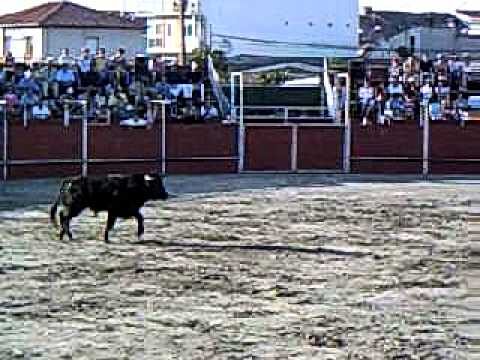 Las Mejores Fiestas de Aldea Real: Tradición y Diversión | Segovia ️ ...